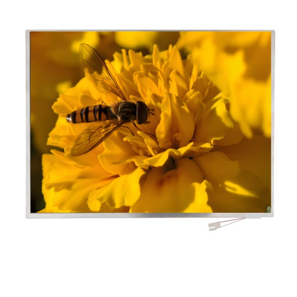 Quality 12.1 Inch 1280x800 TFT LCD Display LVDS Interface 16.7M Color LCD Module for sale