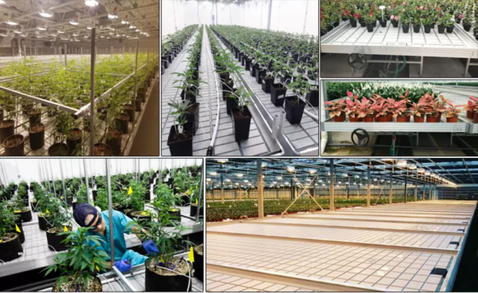 Hot Galvanized Greenhouse Rolling Benches Earthquake Proof Ebb And Flood Benches 0