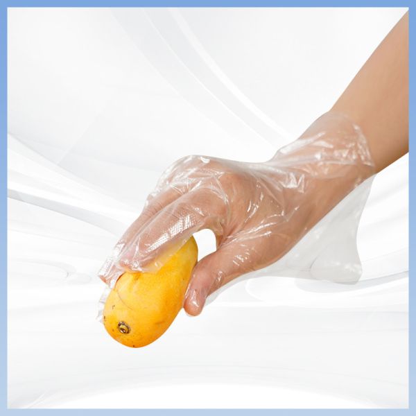 Quality Biodegradable Sanitary Disposable Polyethylene Gloves Powder Free for sale