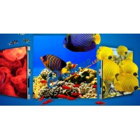 Quality Rgb SMD2727 1000cd/Sqm Stage Led Screen 250W for Advertising for sale