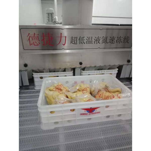 Quality Liquid Nitrogen Freezer Industrial Quick Freezer Freezing Machine For Chicken for sale