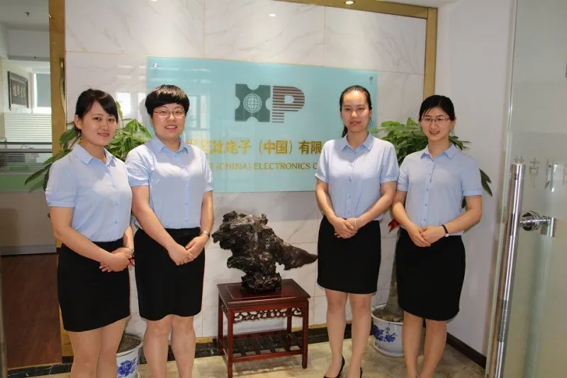 Top-Quality Common Mode Power Inductors (PI-TC14005)