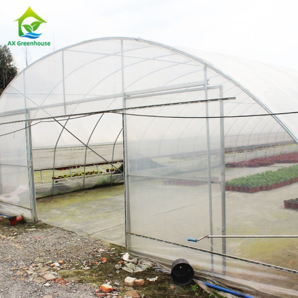 Quality Stable Structure Easily Assembled 26ft Width Poly Tunnel Greenhouse for Agricultural Use for sale