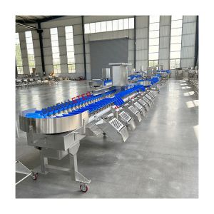 Quality 220V/380V Automatic Fish Oyster Vegetable Mango Avocado Weight Grader for Market for sale