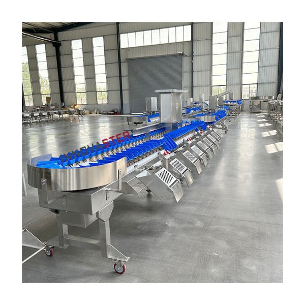 Quality 220V/380V Automatic Fish Oyster Vegetable Mango Avocado Weight Grader for Market for sale