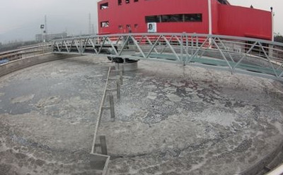 Quality Peripheral Transmission Sludge Scraper System , Stainless Steel Bottom Sludge for sale