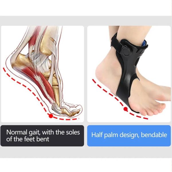 Quality Drop Leg Equipment for sale
