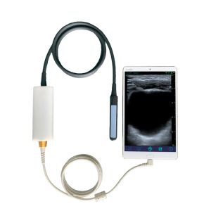 Quality Handheld Veterinary Ultrasound Scanner with Linear Rectal Probe for Bovine & for sale