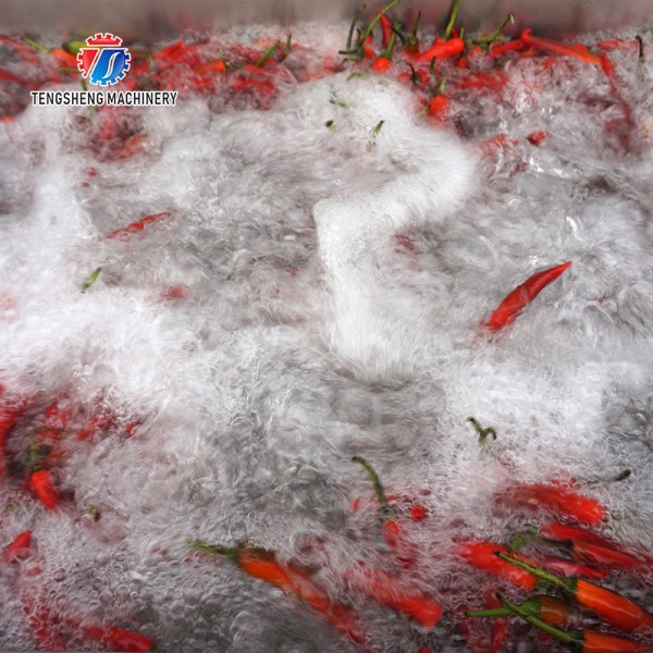 Quality 3KW Bubble Circulating Surfing Fruit And Vegetable Washing Machine Ozone for sale
