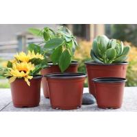 Quality Nursery Plastic Horticultural Plant Pots Thermal Formed For Flower Seedling for sale