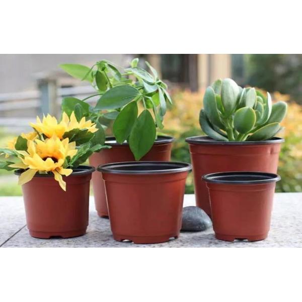 Quality Nursery Plastic Horticultural Plant Pots Thermal Formed For Flower Seedling for sale