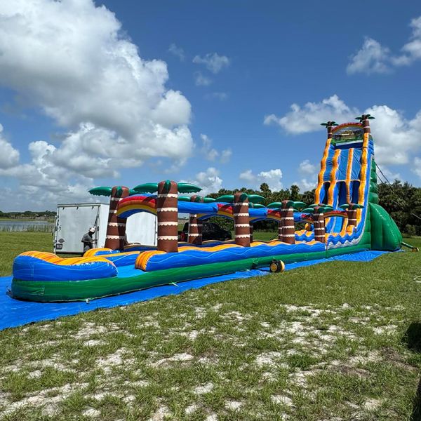 Quality Extra Long Palm Tree Inflatable Slide Combo with Pool Must-Experience at Aquatic for sale