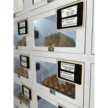 Quality For Farmer Use Coin Cash Operated Customized Refrigerated Locker Fresh Eggs for sale