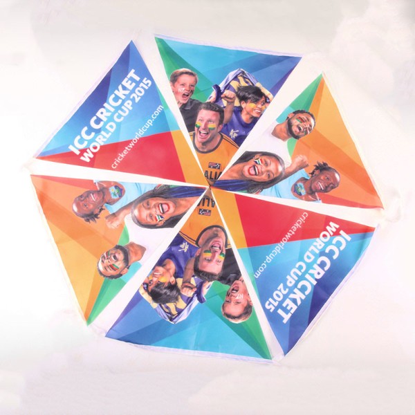 Quality Homosexual Rainbow Bunting Flags 100% Polyester Material For Outdoor for sale