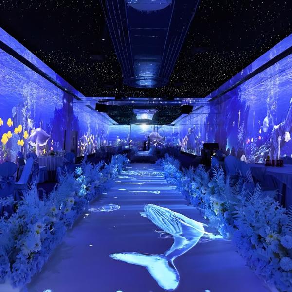 Quality Northern Lights 3D Holographic Projection Interactive Gaming Projector for sale