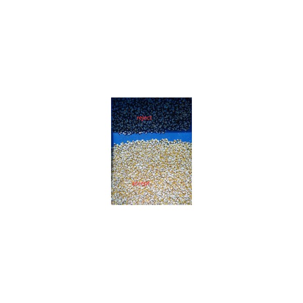 Quality Grain Corn Separating Machine 1 Chute 64 Channels For Grading for sale