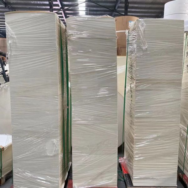 Quality Matt 220g PE Paper Cup Sheet 1600mm for sale