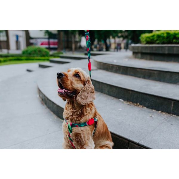 Quality Polyester Watermelon Dog Harness For Freedom Walker Front Walking for sale