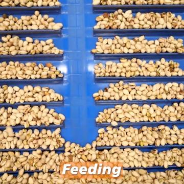 Quality 380V Jumbo Akbari Pistachio 8 Exits Nuts Sorting Machine For Grading And Sizing for sale