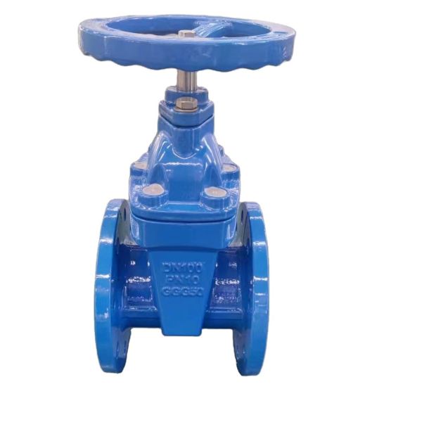 Quality API 6D Ductile Iron Gate Valve Blue Paint Designed To API 600 Standard for sale