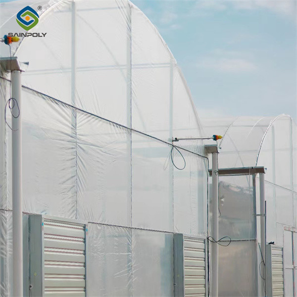 Quality Galvanized Steel Frame Multispan Greenhouse 30-100m Length Customized Size for sale
