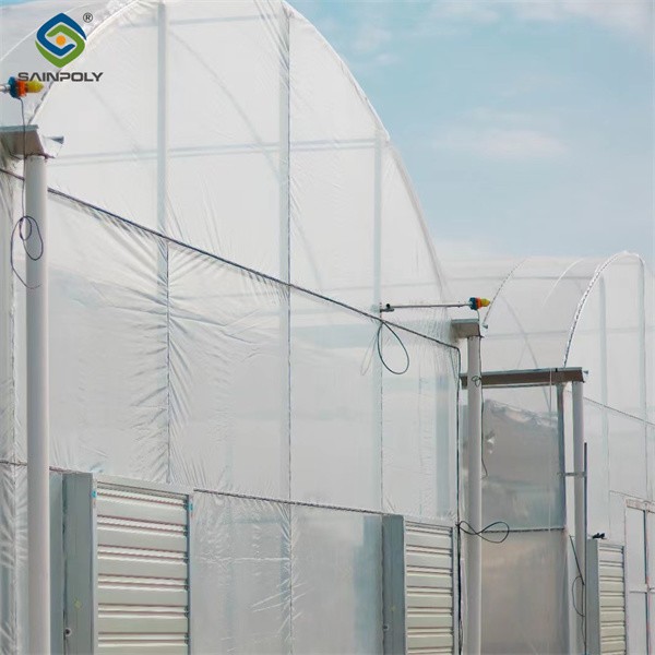 Quality Stable Structure Agricultural Multi Span Greenhouse 30-100m Length for sale