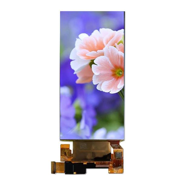 Quality 1080*2160 High Resolution AMOLED 6.01 Inch Touch Display Module for sale