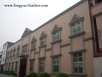China Factory - Guangdong Hongfa Import & Export Co., Ltd.