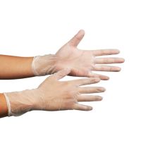 Quality Powder Free Disposable Vinyl / PVC Cleanroom Gloves In Bulk for sale