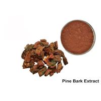 Quality Anti Aging OPC Pine Bark Extract Powder For Cosmetics for sale