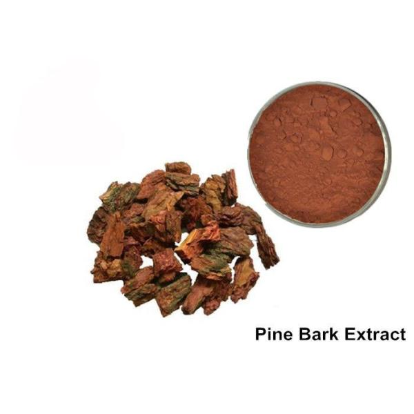 Quality Anti Aging OPC Pine Bark Extract Powder For Cosmetics for sale