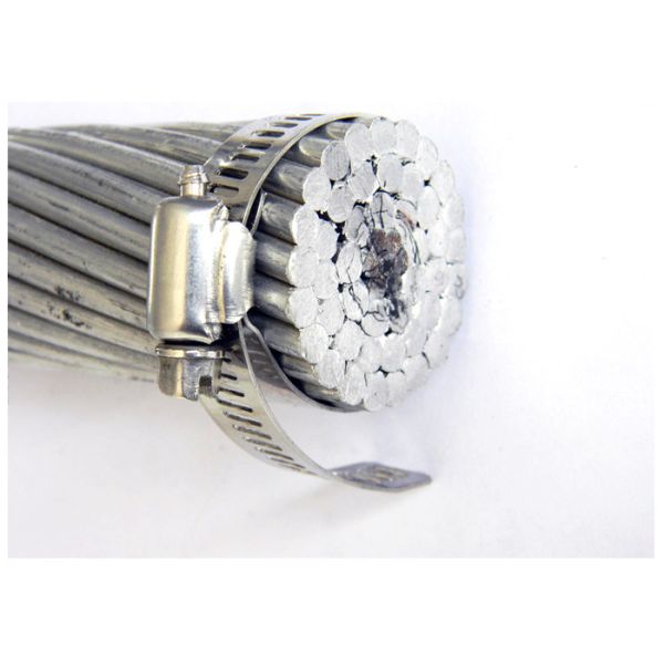 Quality Concentric Lay Stranded Bare Conductor High Voltage AAC AAAC ACSS/TW ACCC for sale