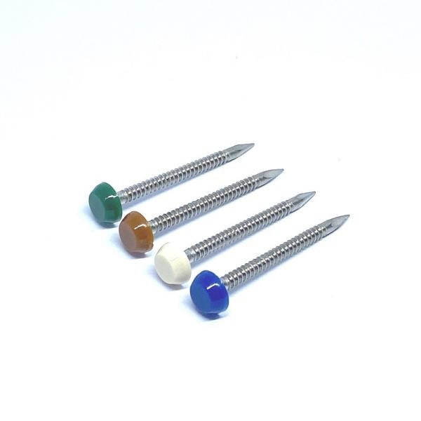 Quality A4 Stainless Steel Plastic Head Nails for sale