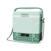 Quality Mini Car Freezer Cooler 12v Portable Refrigerator Trunk Fridge With Car Handle for sale