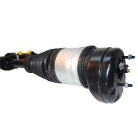 China Mercedes Suspension Shock Strut GLS GLE Class W167 1673200503 1673200504 factory