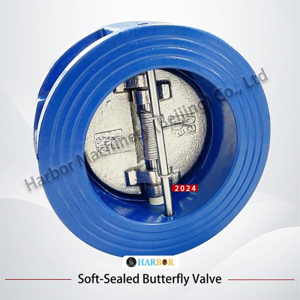 Quality Direct Supply from DH77X-10 Wafer Connection Check Valve with Cast Iron for sale