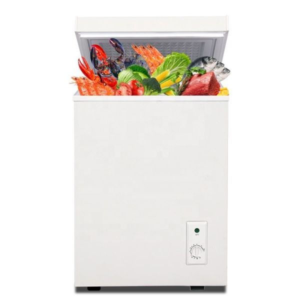 Quality 42L Small Home Freezer Chest Compact Deep Freezer Folding Door for sale