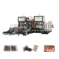 Quality Fully Automatic Apple Egg Tray Paper Pulp Making Machine With Metal Drying Line for sale