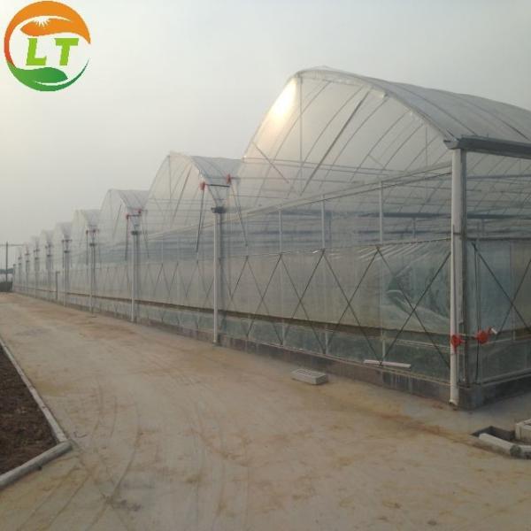 Quality 95% Transmittance Agricultural Plastic Film Greenhouse With Film Cover Material for sale
