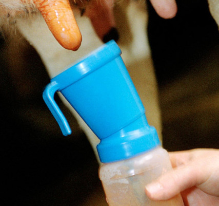 Quality VTN002 00 BL Non Return 300ml Teat Dip Cup For Cows for sale
