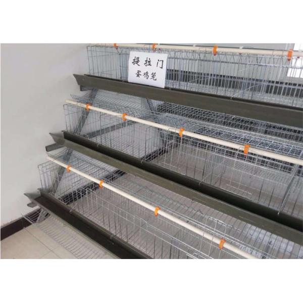 Quality Stepped H Type Layer Cage 490mpa / Chicken Egg Layer Cages 56cm width for sale