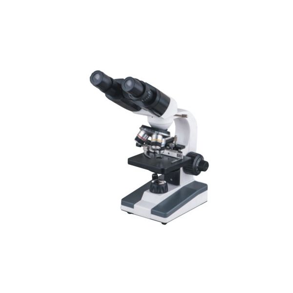 Quality WF10X 18mm Student Biological Microscope Educational Series WF16X 640X for sale