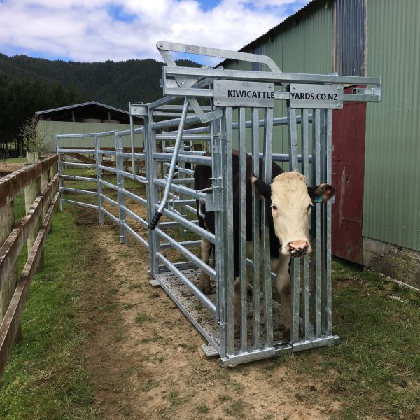 Quality 32mm Frame Cattle Crushes 3.5m Width Cattle Crush Panels Sustainable for sale