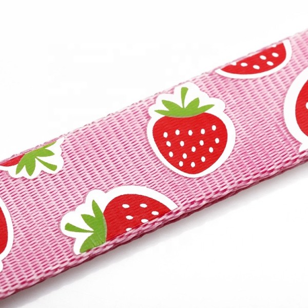 Quality OEM training dog leash Silk Screen Pattern dog training lead for sale
