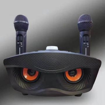 Quality 30W Family Karaoke Multifunctional Wireless Speak With Mic Recorder for sale