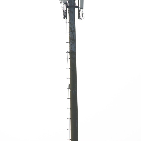 Quality Polygonal Galvanized Telecom Monopole Hot Dipped Cellular Tower Without Working for sale