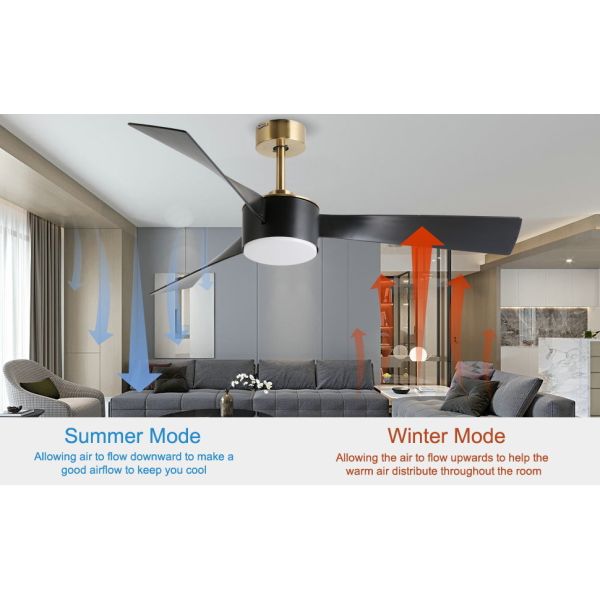 Quality Smart Energy Saving 52 Inch Ceiling Fan Lighting In Black for sale