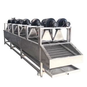Quality Continuous Fruit And Vegetable Processing Line Dehydrated Dried Equipment for sale