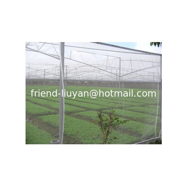 Quality UV Treated Agriculture Insect Net for sale