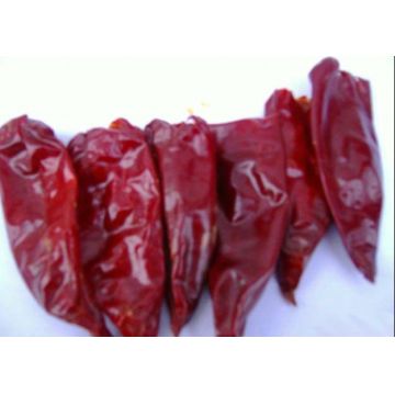 Quality Raw Yidu Chili Zero Additive 2000 Scoville Long Dry Red Chilli for sale